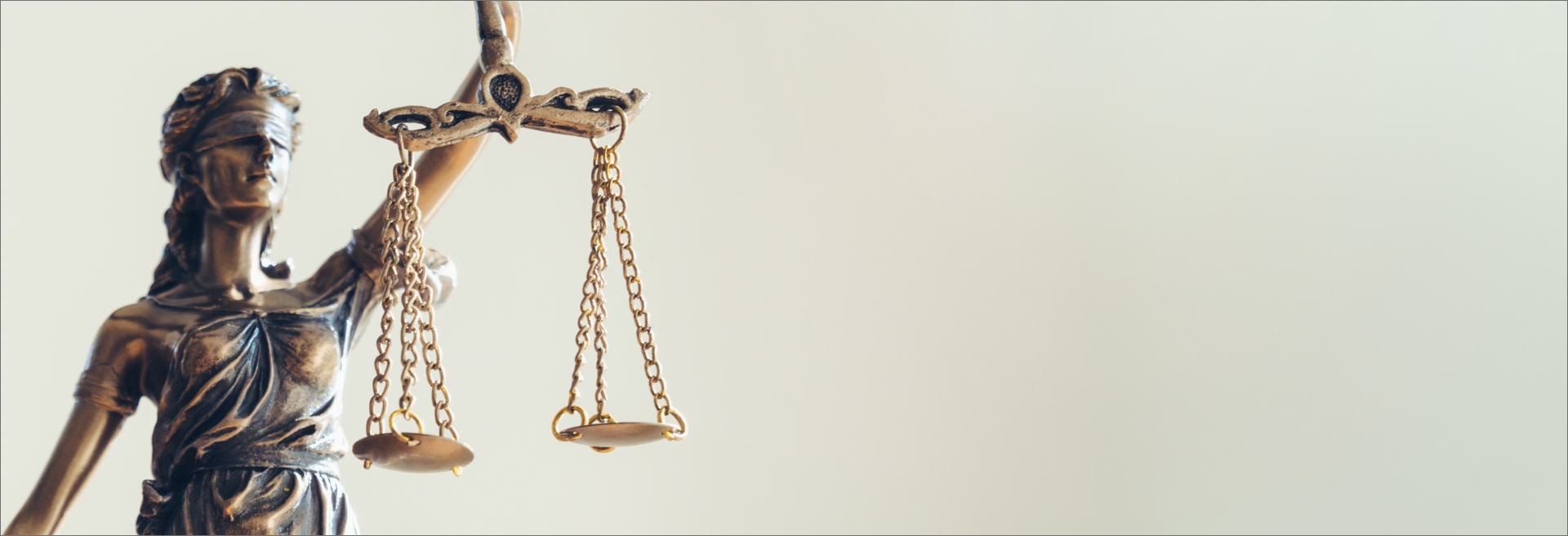 Meghan Cooper and Allen David Obtain Jury Verdict on Behalf of Pro Bono ...